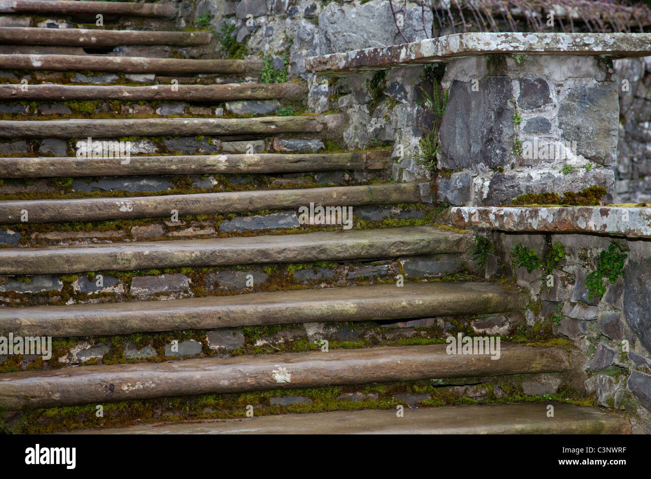 Victorian Stone stairway Stock Photo - Alamy
