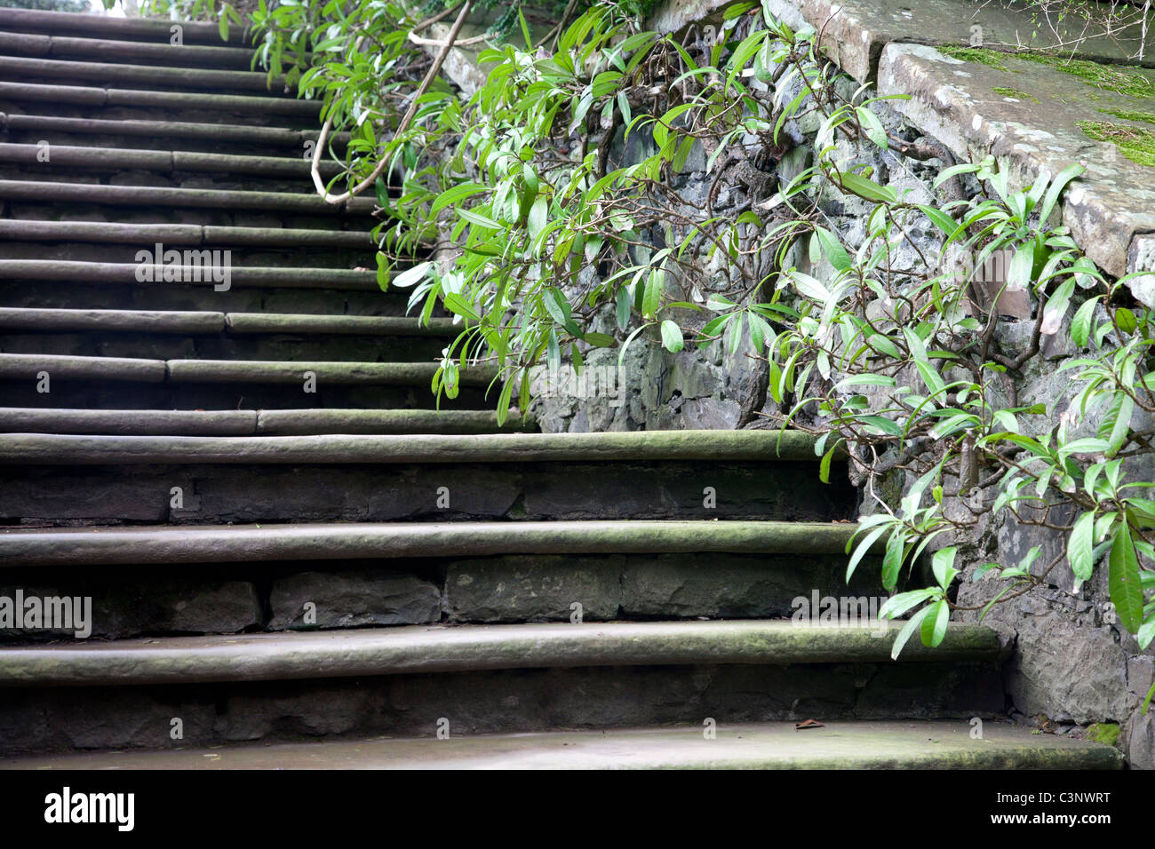 Victorian stairway hi-res stock photography and images - Alamy