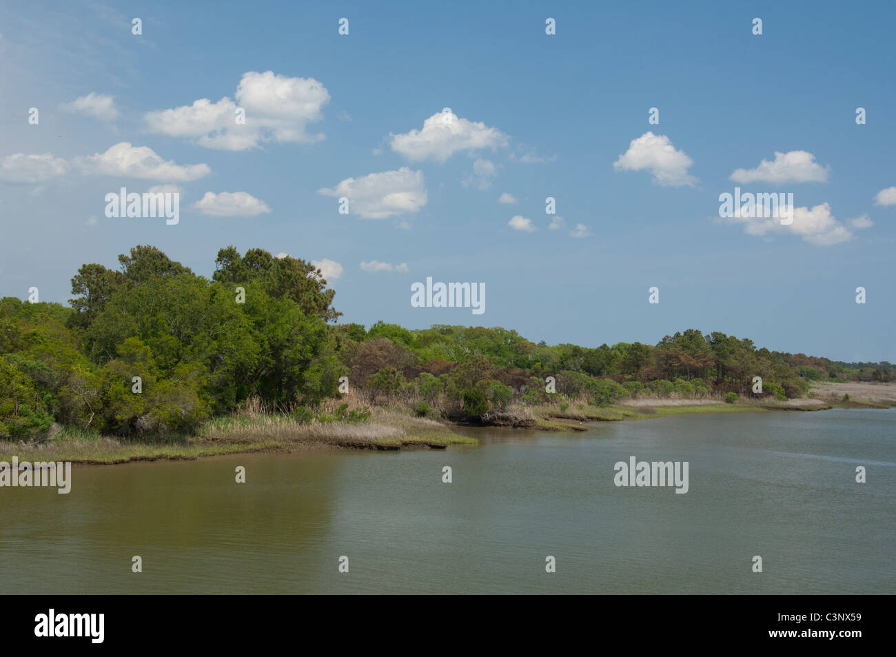 Cape romain hi-res stock photography and images - Alamy