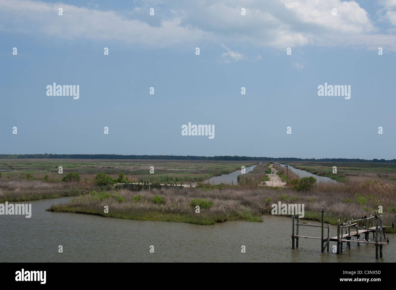 South Carolina, Cape Romain National Wildlife Refuge. Intracoastal ...