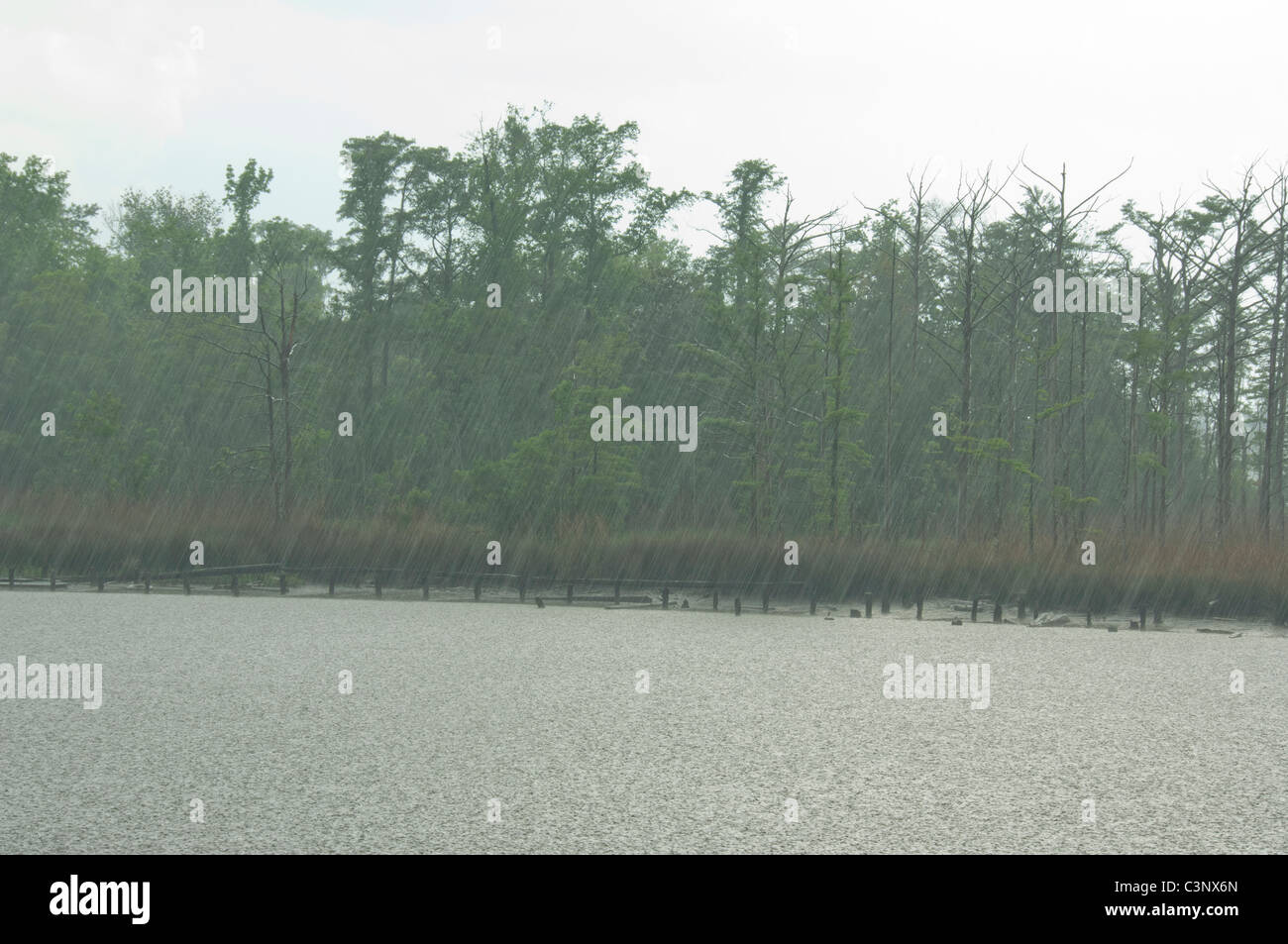 South Carolina, Georgetown, Atlantic Intracoastal Waterway. Spring ...
