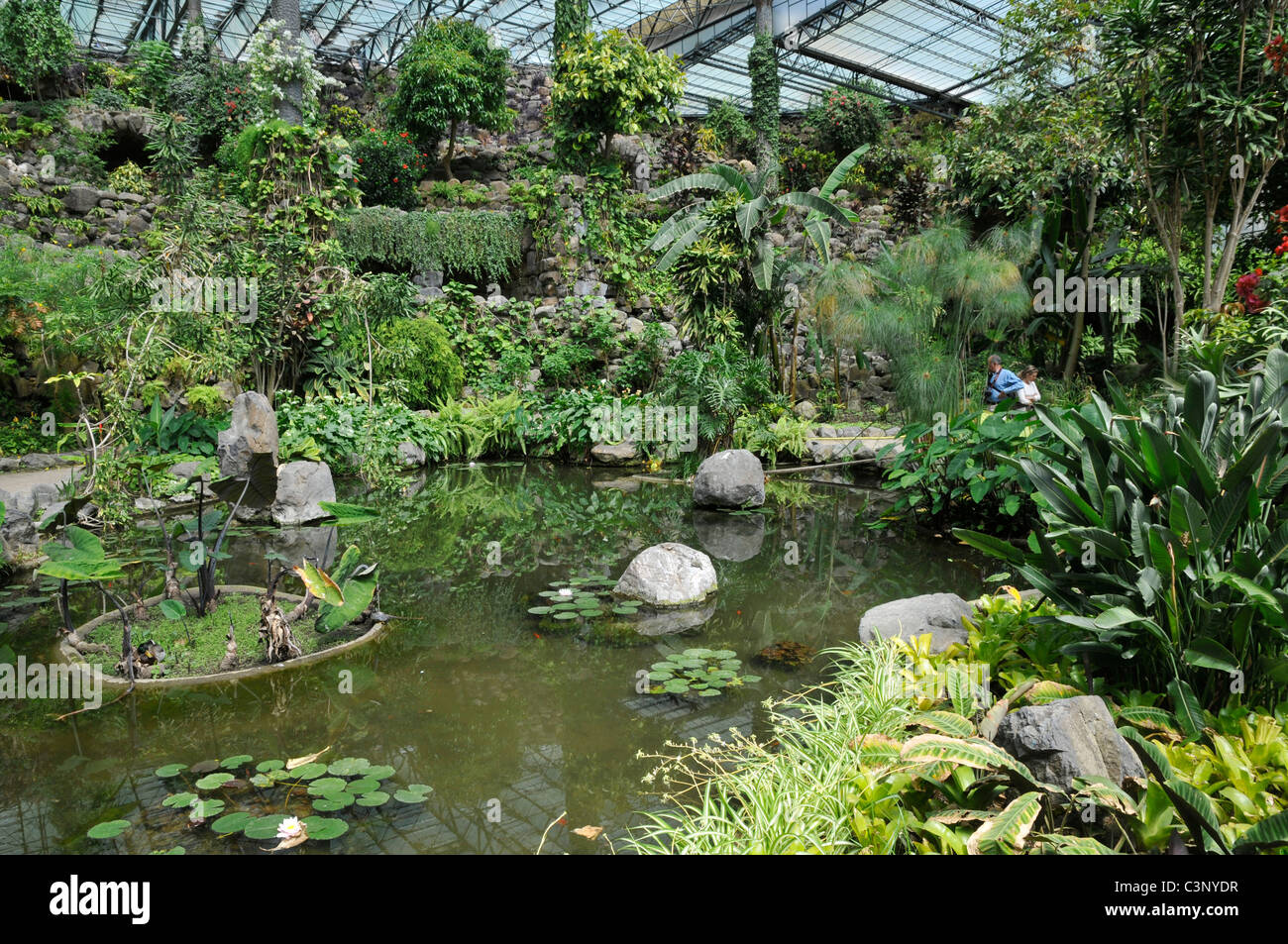 Estufa Fria High Resolution Stock Photography and Images - Alamy