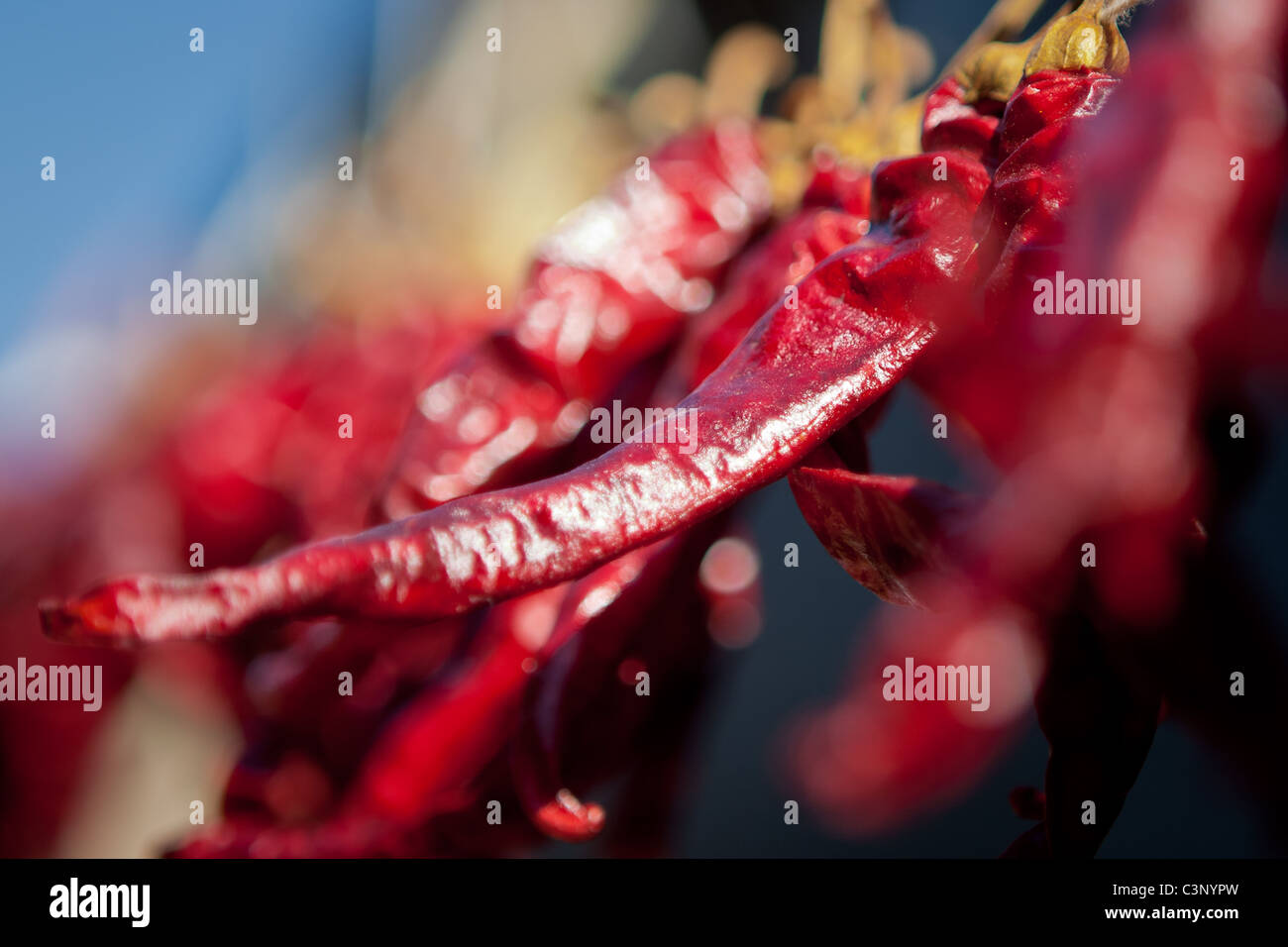 String of chillies hi-res stock photography and images - Alamy