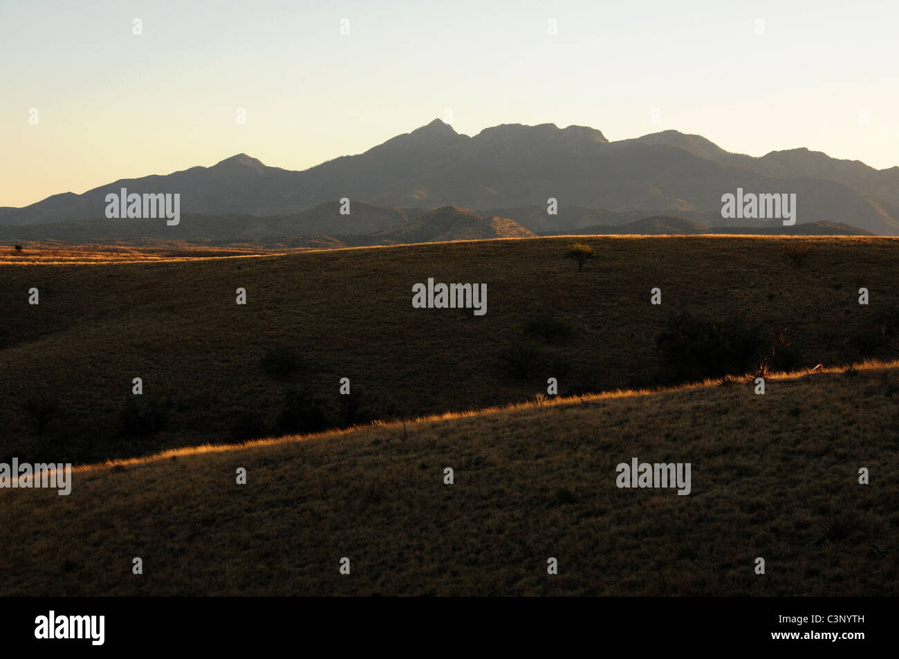 Mount Wrightson in the Santa Rita Mountains, Sky Islands in the ...