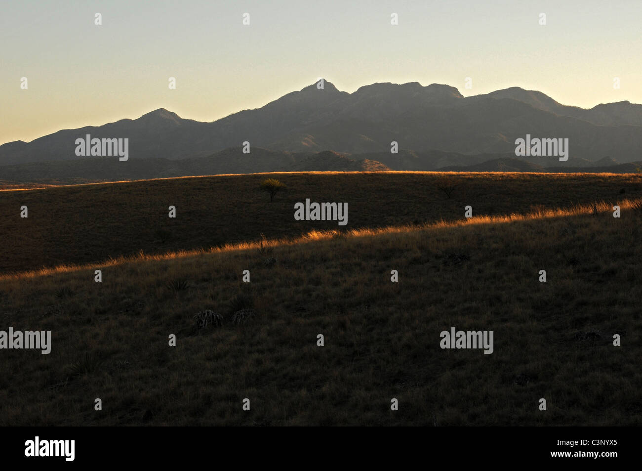 Mount Wrightson in the Santa Rita Mountains, Sky Islands in the ...