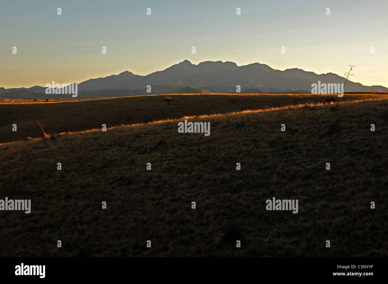 Mount Wrightson in the Santa Rita Mountains, Sky Islands in the ...