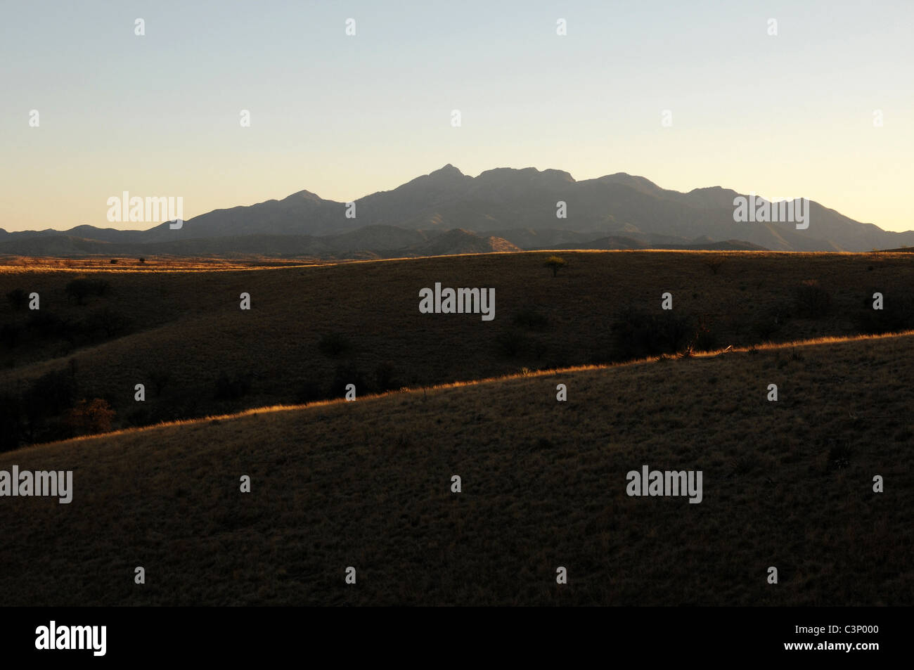 Mount Wrightson in the Santa Rita Mountains, Sky Islands in the ...