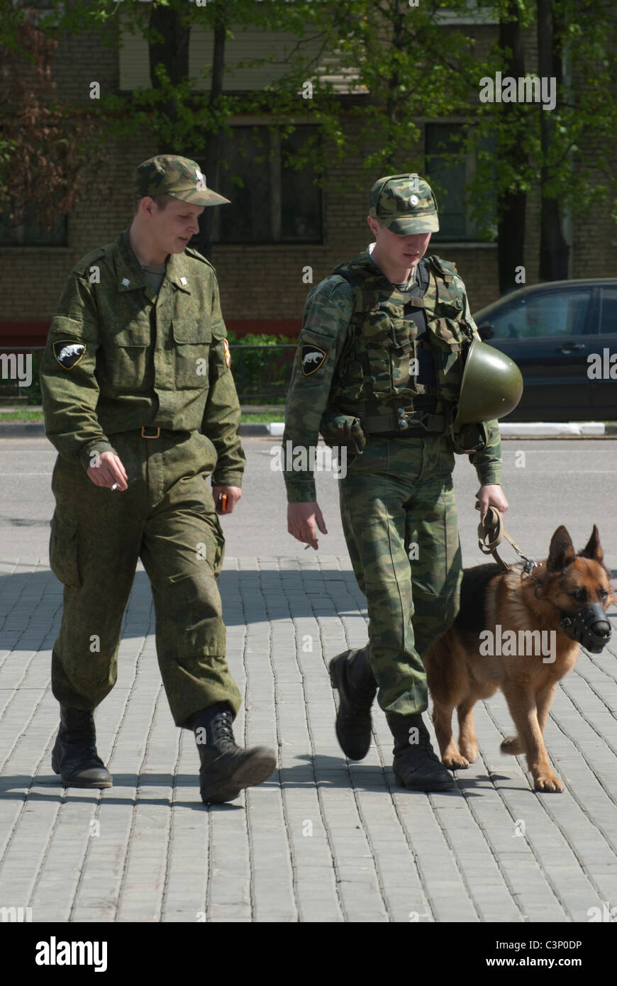 Russian soldier dog hi-res stock photography and images - Alamy