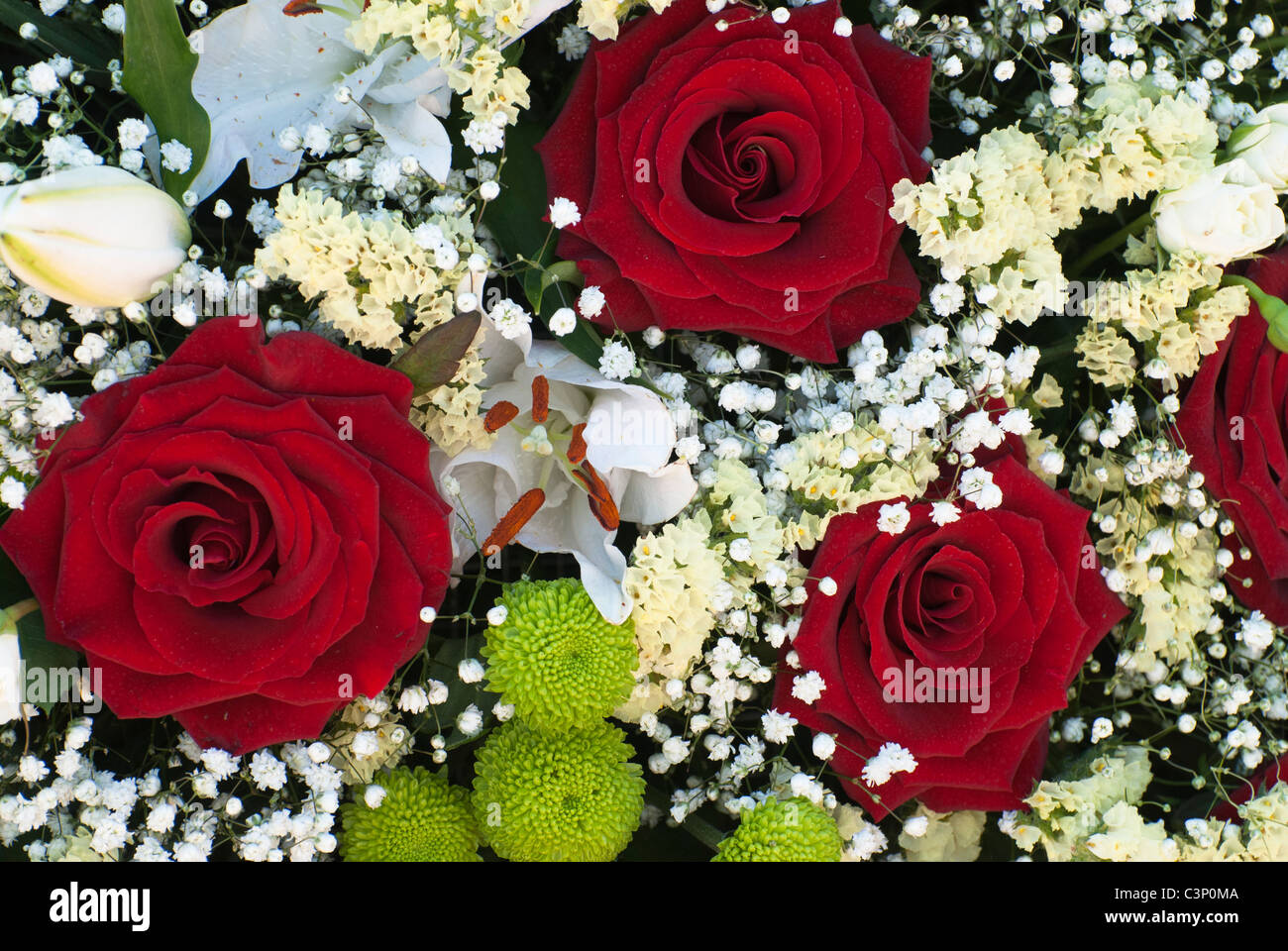 Nice or good composition hi-res stock photography and images - Alamy