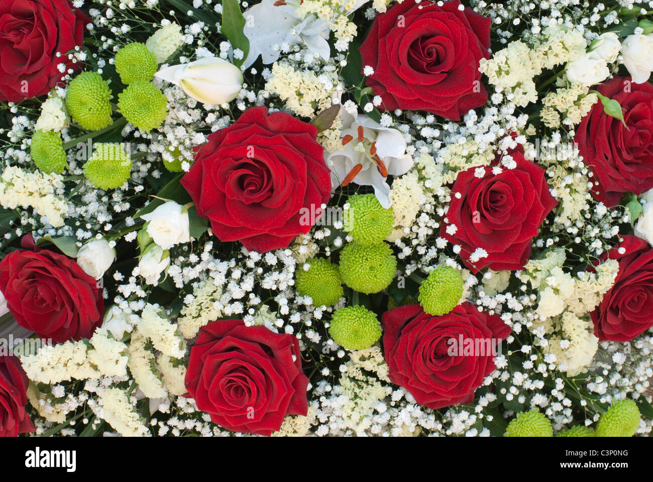 Nice or good composition hi-res stock photography and images - Alamy