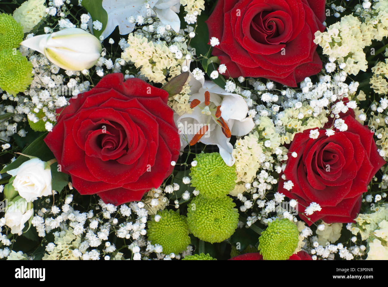 Nice or good composition hi-res stock photography and images - Alamy