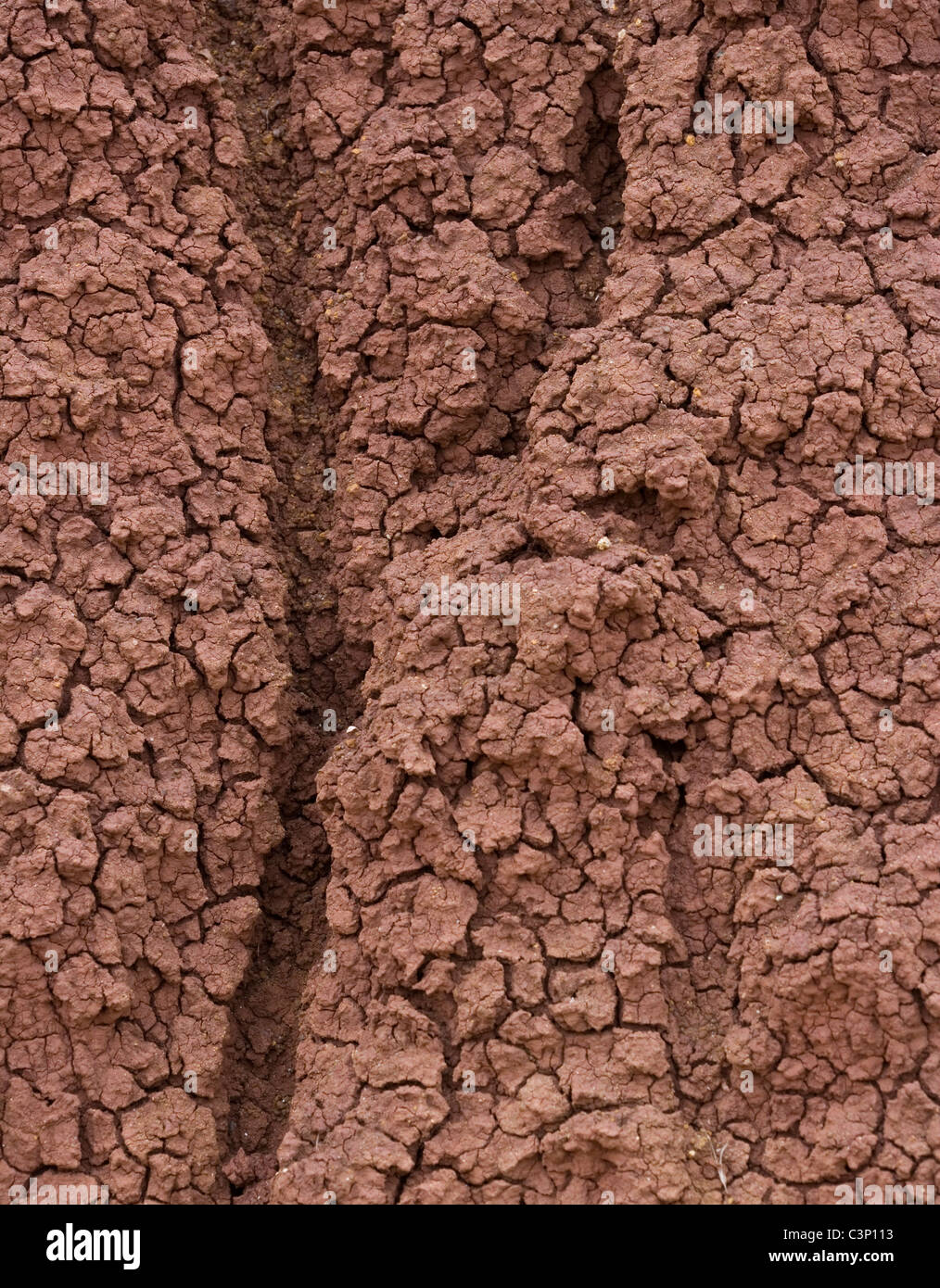 Clay Erosion Patterns, Painted Hills, John Day Fossil Beds National ...