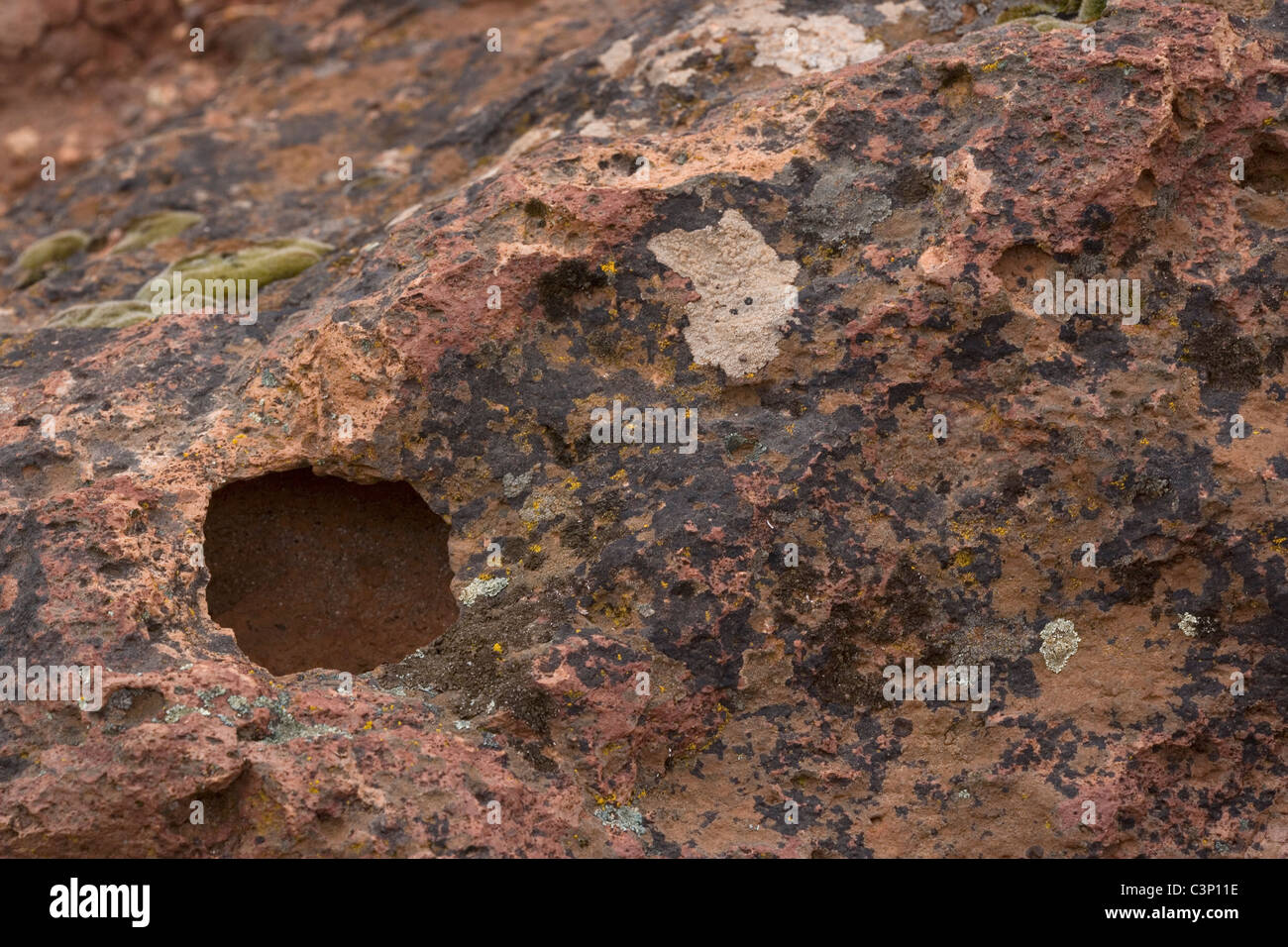 Red Rock, Painted Hills Cove Trail, John Day Fossil Beds National ...