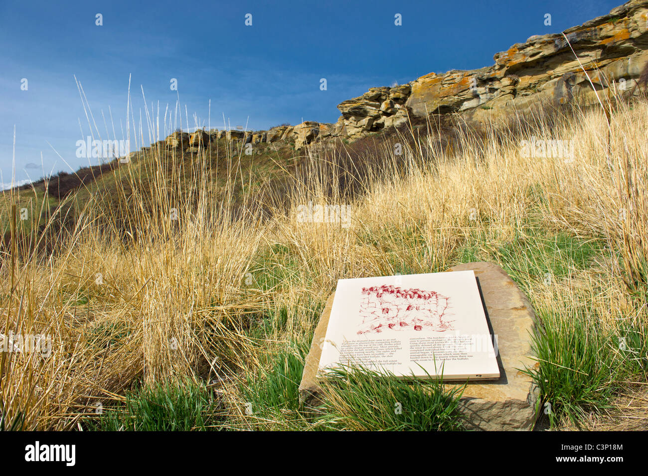 Head-Smashed-in-Buffalo Jump Interpretive Center Stock Photo - Alamy