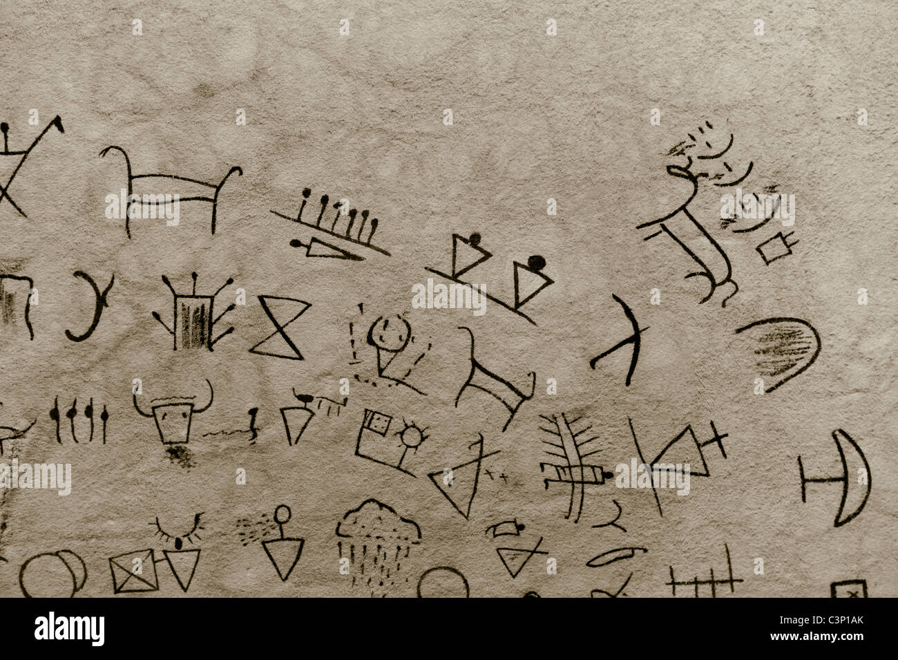 Head-Smashed-in-Buffalo Jump Interpretive Center Winter count robe ...