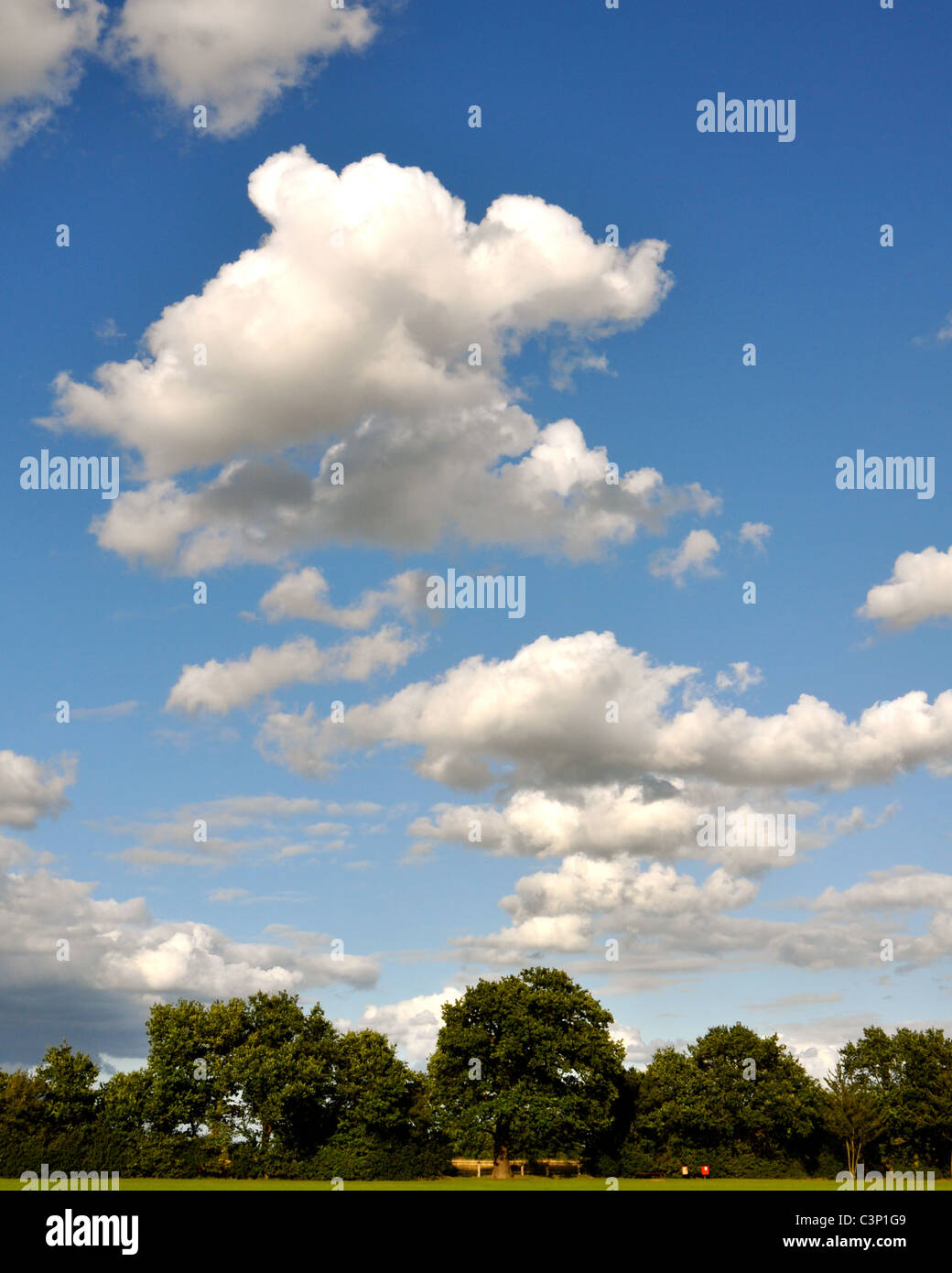 clouds in park Stock Photo - Alamy