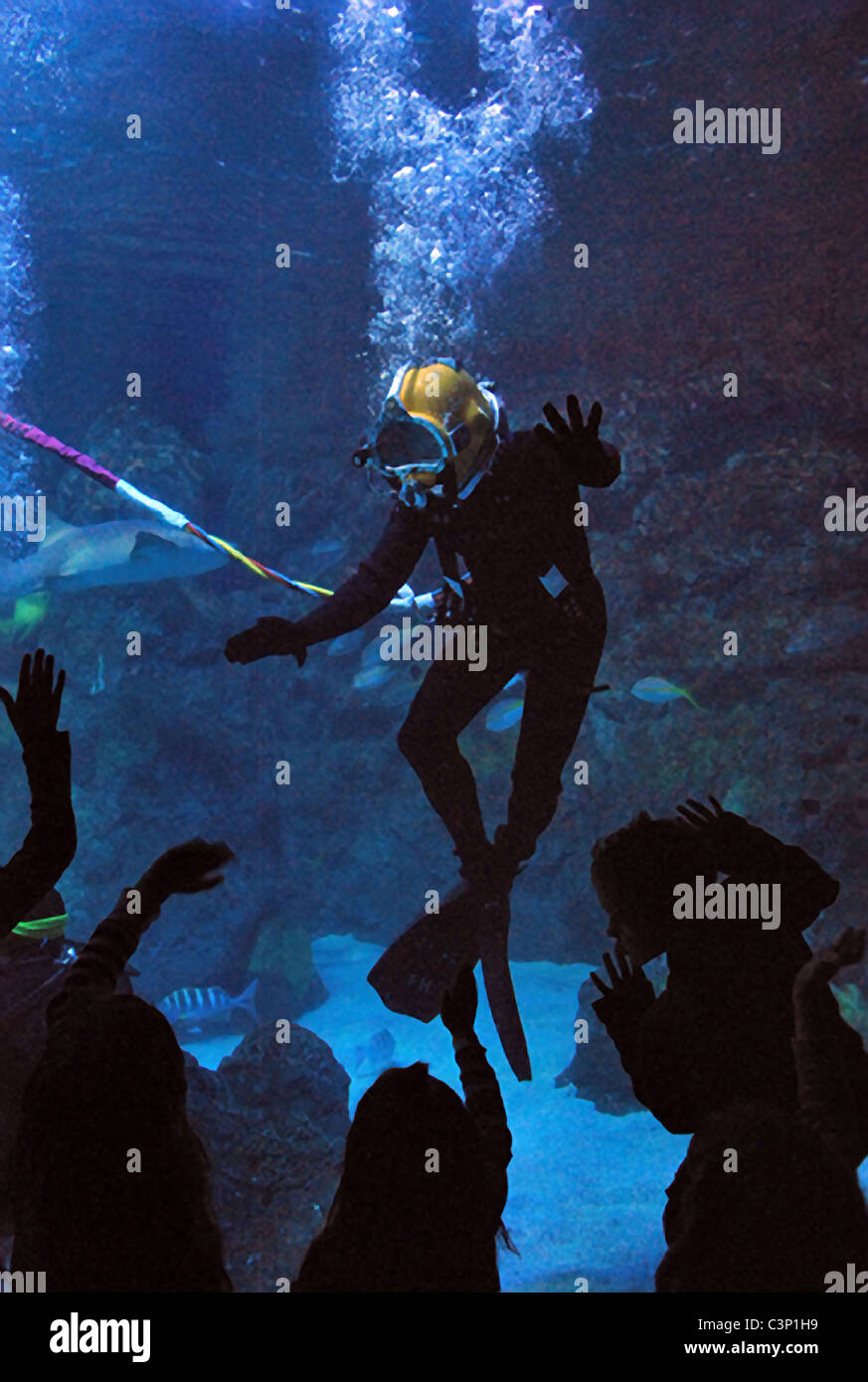 US Navy divers take part in a diving show at the Denver Aquarium during ...