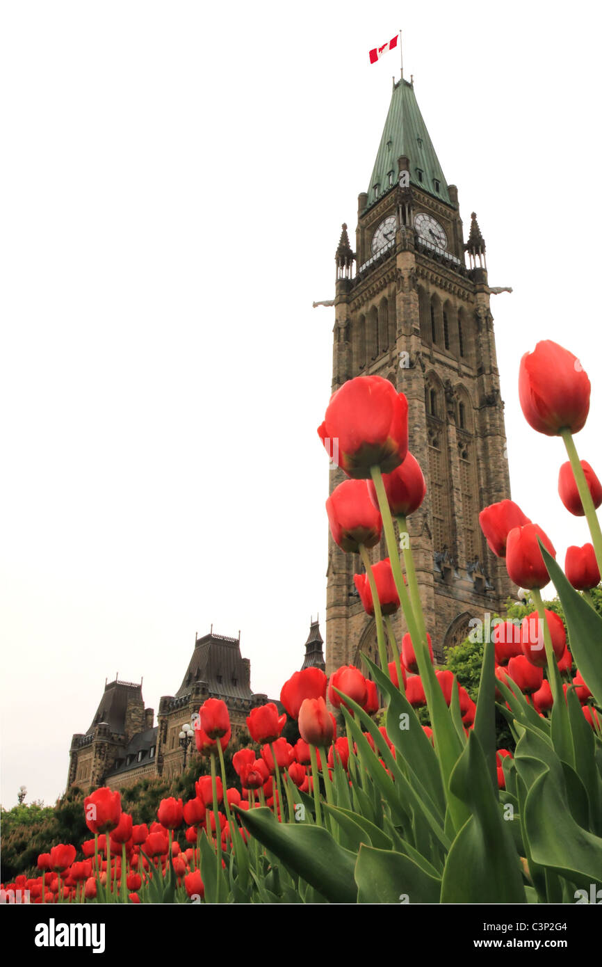 Canadas parliament hill hi-res stock photography and images - Alamy