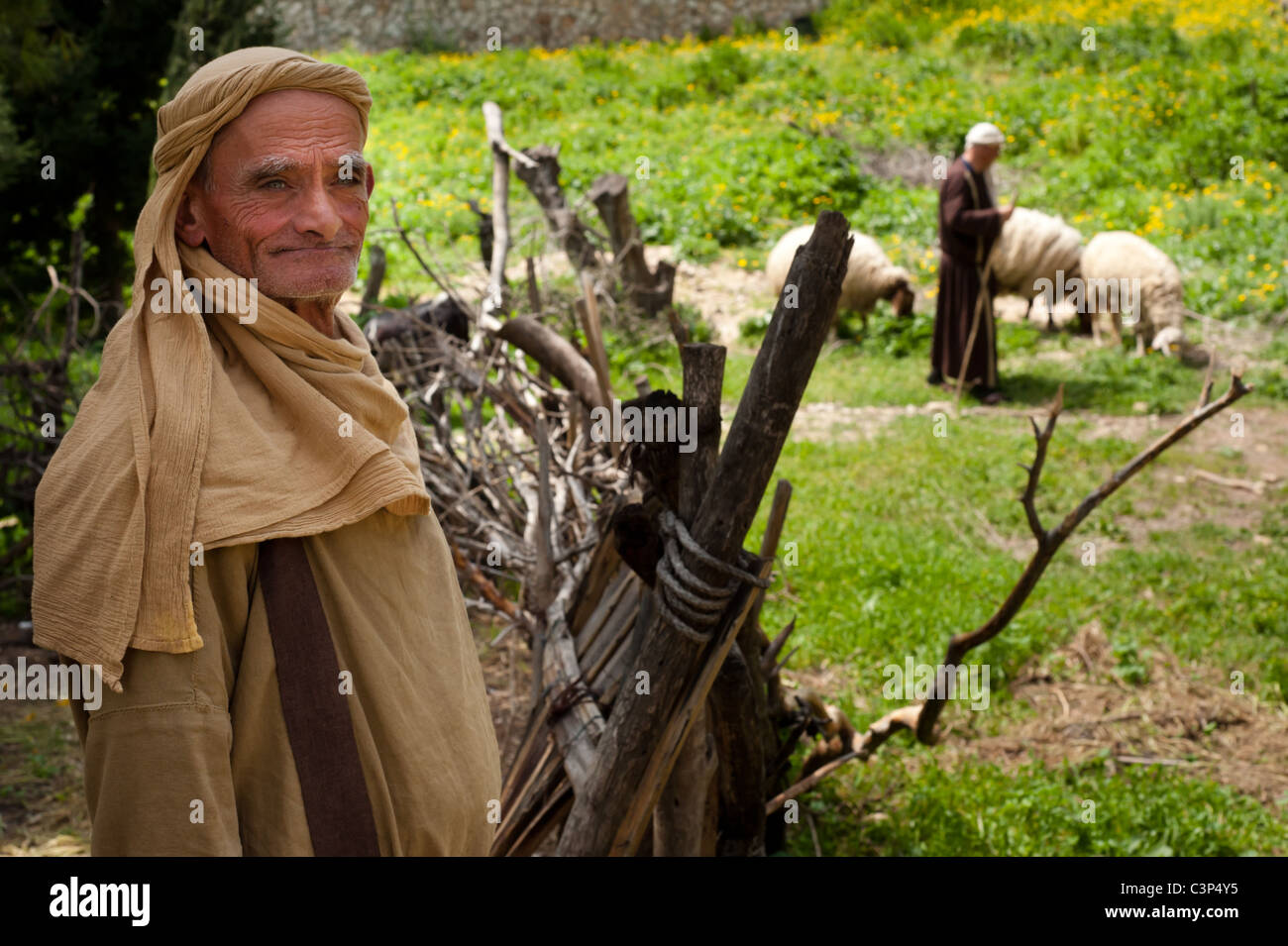 Shepherds tending sheep hi-res stock photography and images - Alamy