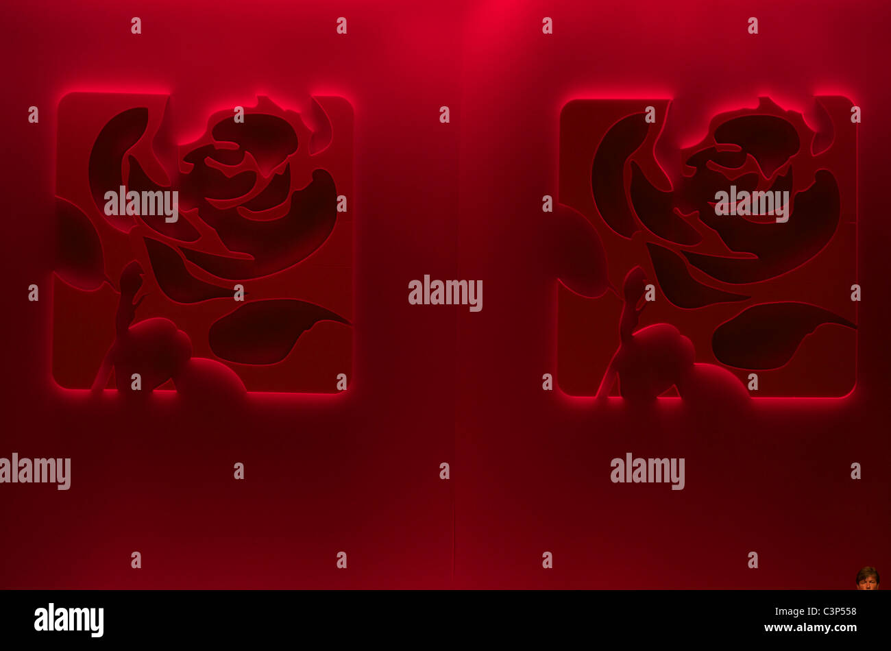 Labour rose hi-res stock photography and images - Alamy