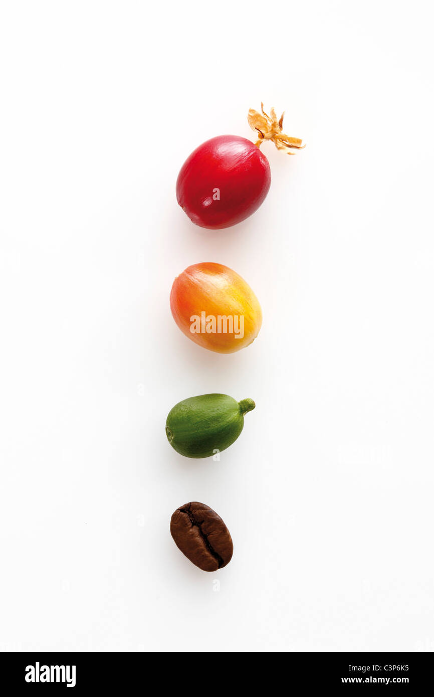 Coffee beans in a row, elevated view Stock Photo - Alamy