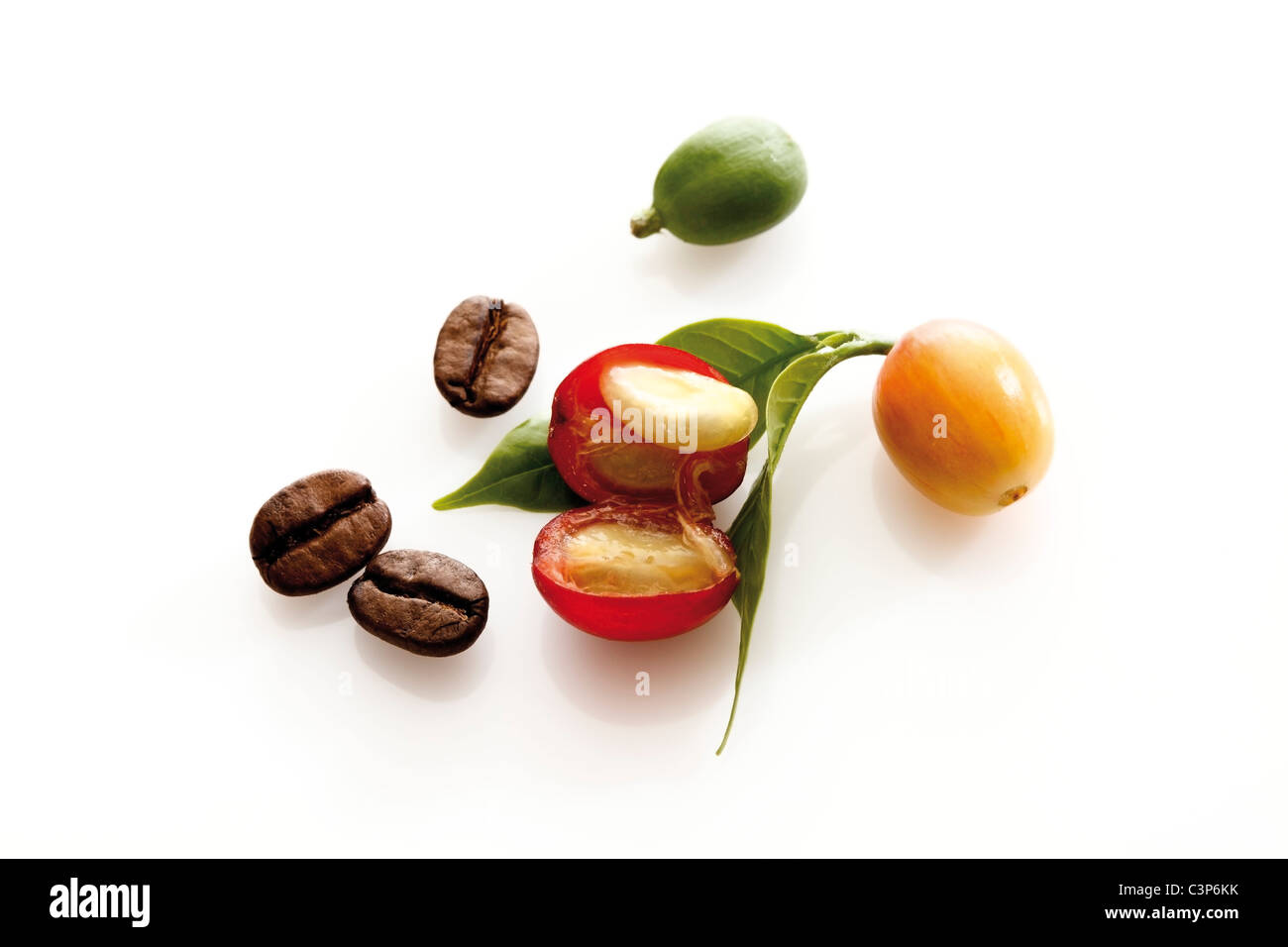 Various coffee beans Cut Out Stock Images & Pictures - Alamy