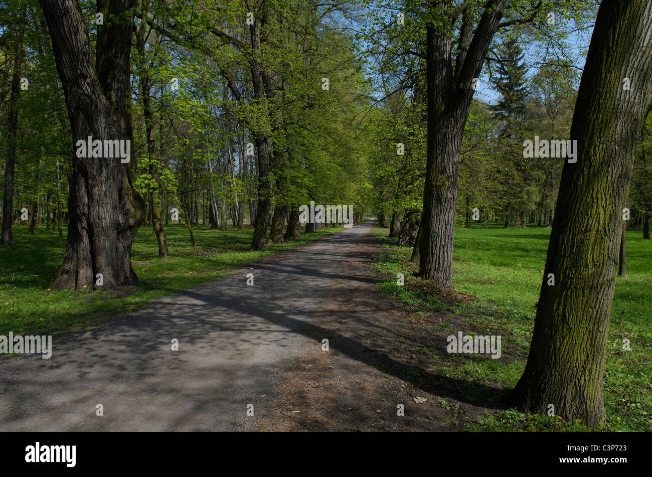 Wide path and long grass hi-res stock photography and images - Alamy