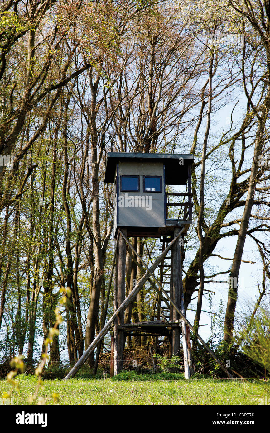 Germany, View of raised hide in forest Stock Photo - Alamy