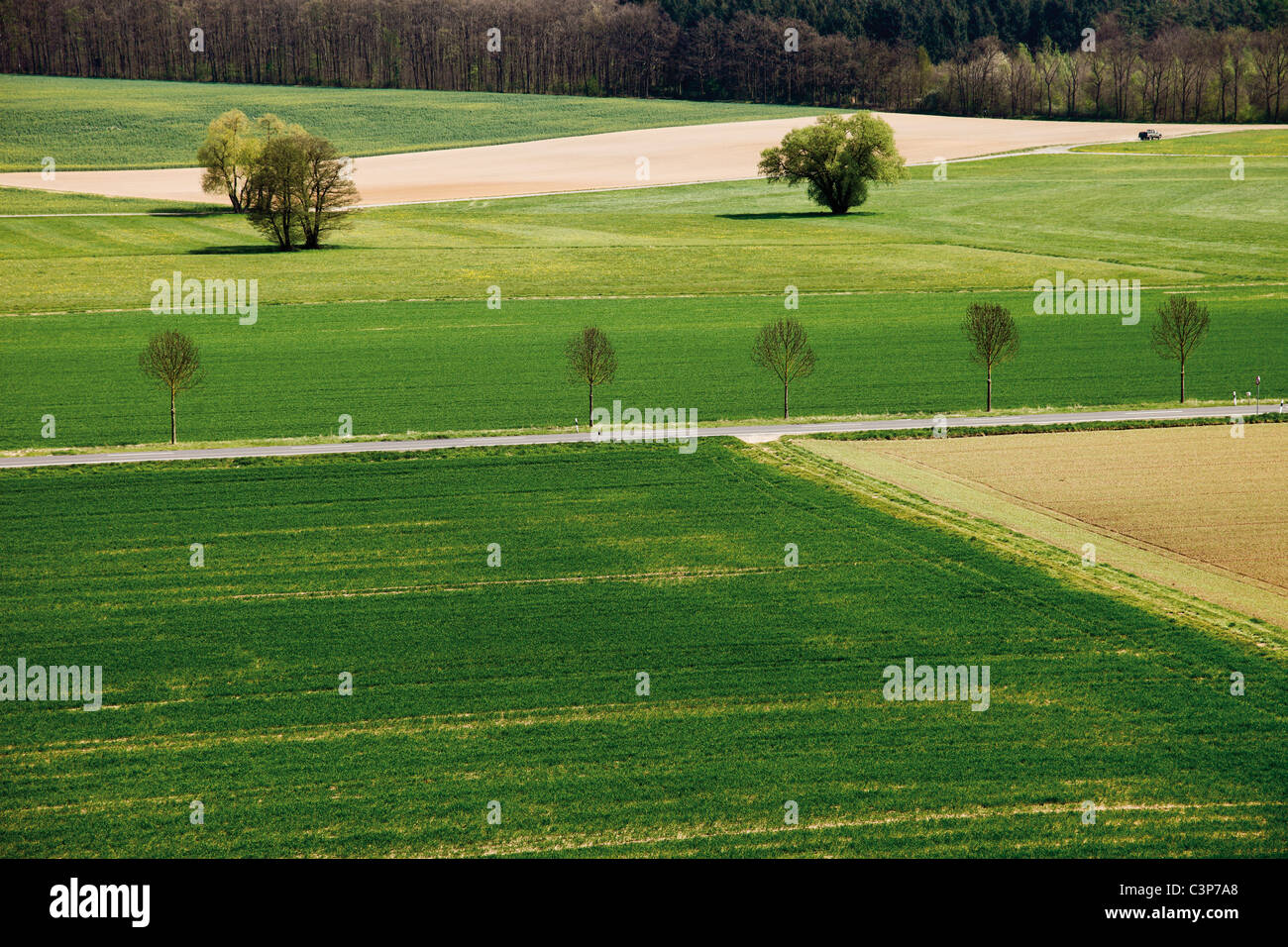 Germany, Hesse, Dietkirchen, View of field landscape Stock Photo - Alamy