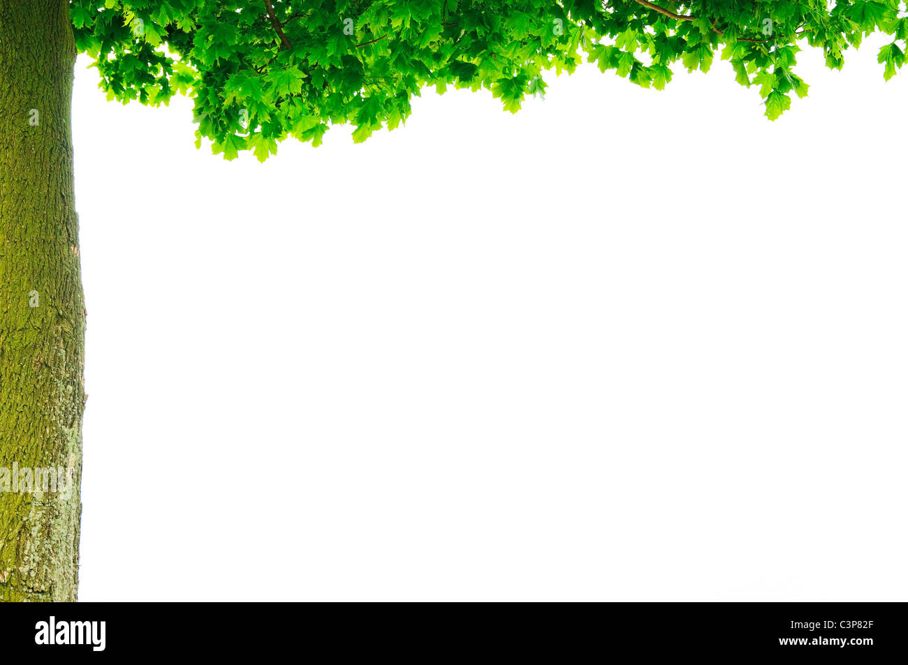 Oak frame hi-res stock photography and images - Alamy