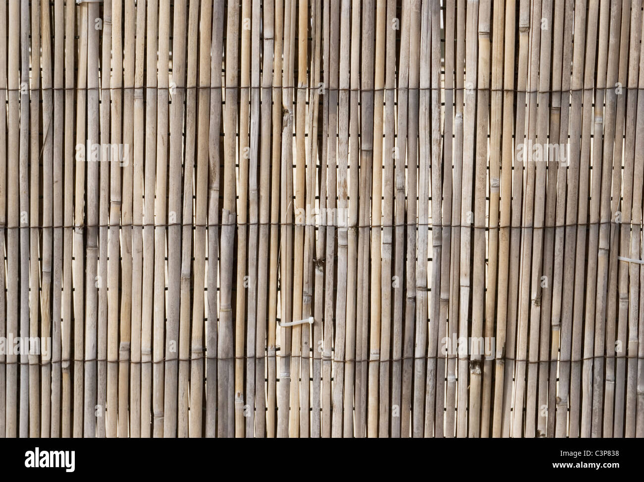 bamboo canes fence Stock Photo - Alamy