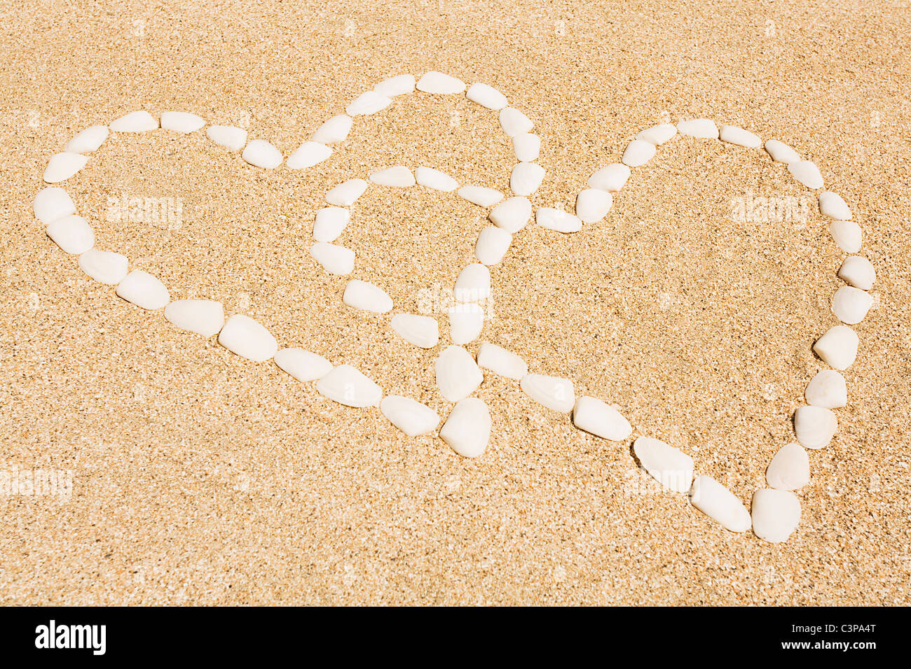 New Zealand, White Pipis (Paphies australis) forming hearts on sand ...
