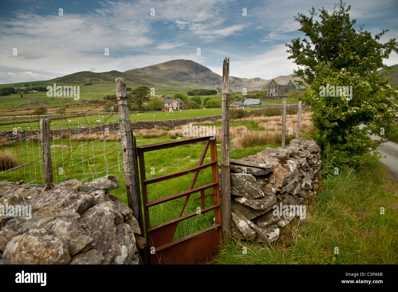 Llyn Cwmystradllyn High Resolution Stock Photography and Images - Alamy Llyn Cwmystradllyn High Resolution Stock Photography and Images - Alamy