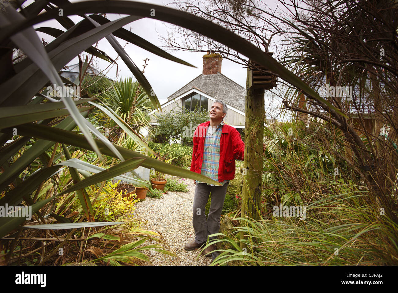 Patrick gale hi-res stock photography and images - Alamy