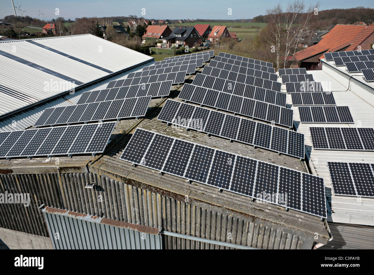 Structure of plant cells hi-res stock photography and images - Alamy