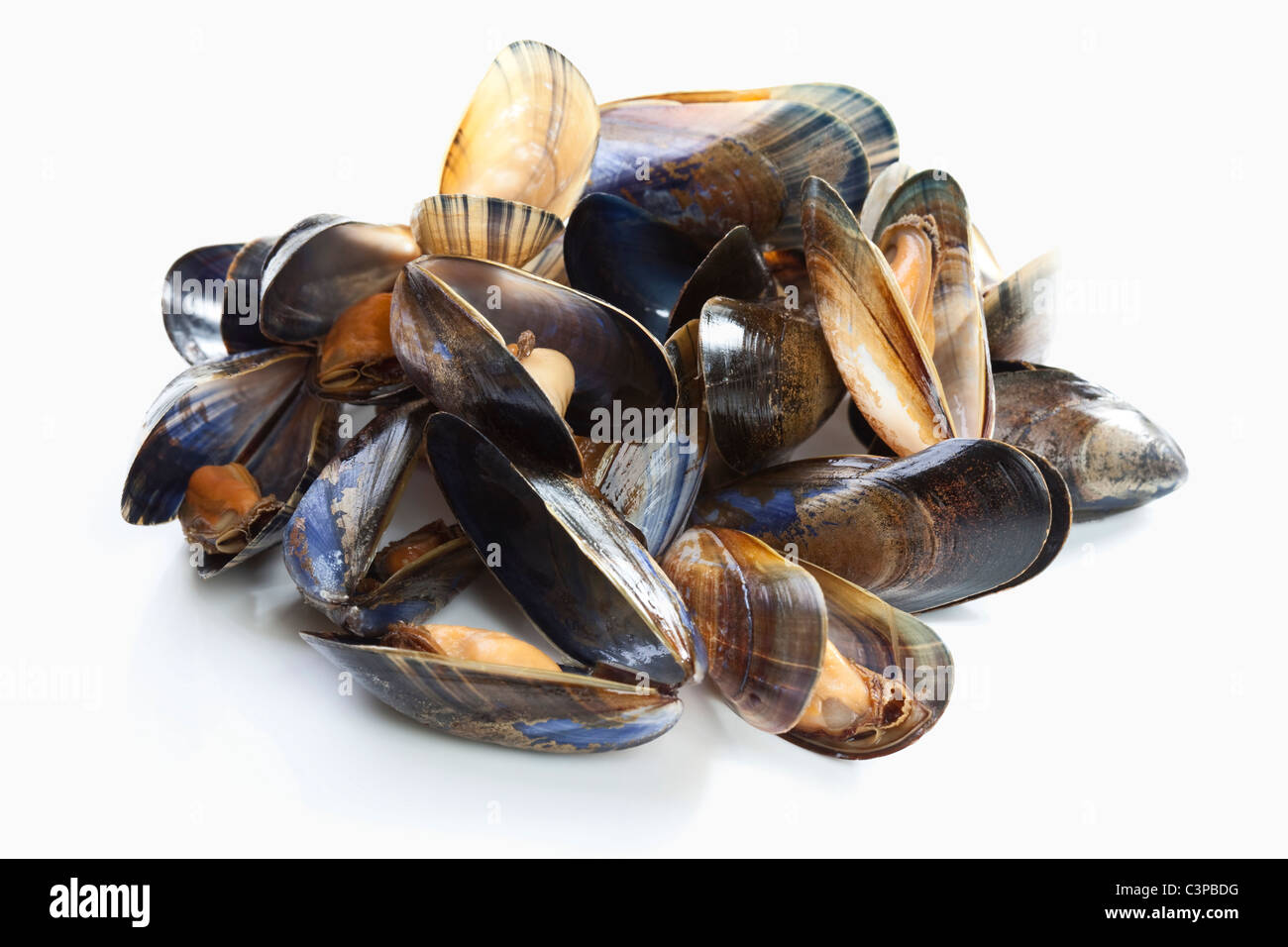Blue mussels, elevated view Stock Photo - Alamy