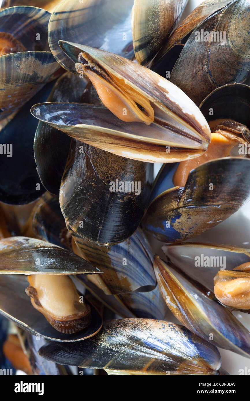Blue mussels, full frame, close-up Stock Photo - Alamy