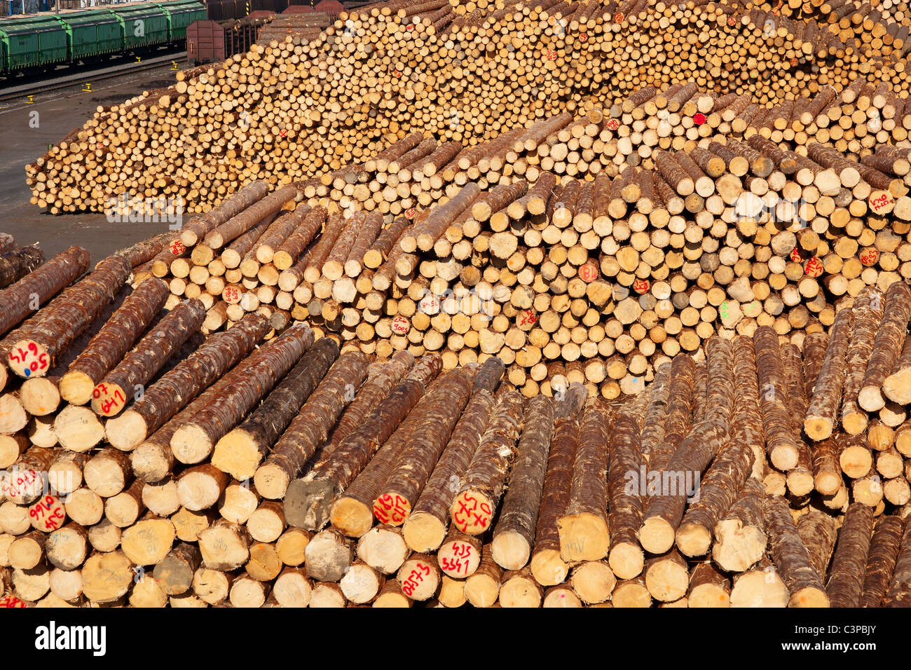 A view of huge stacks of logs piled high at a lumber factory Stock ...