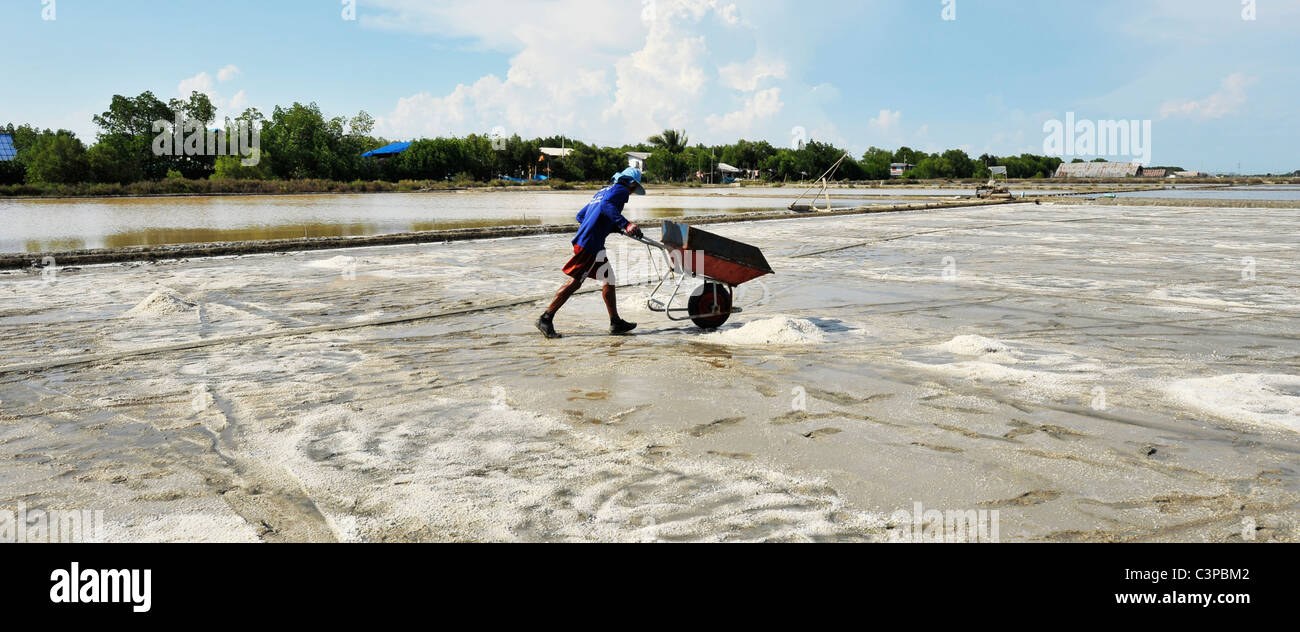 Harvesting sea salt hi-res stock photography and images - Alamy