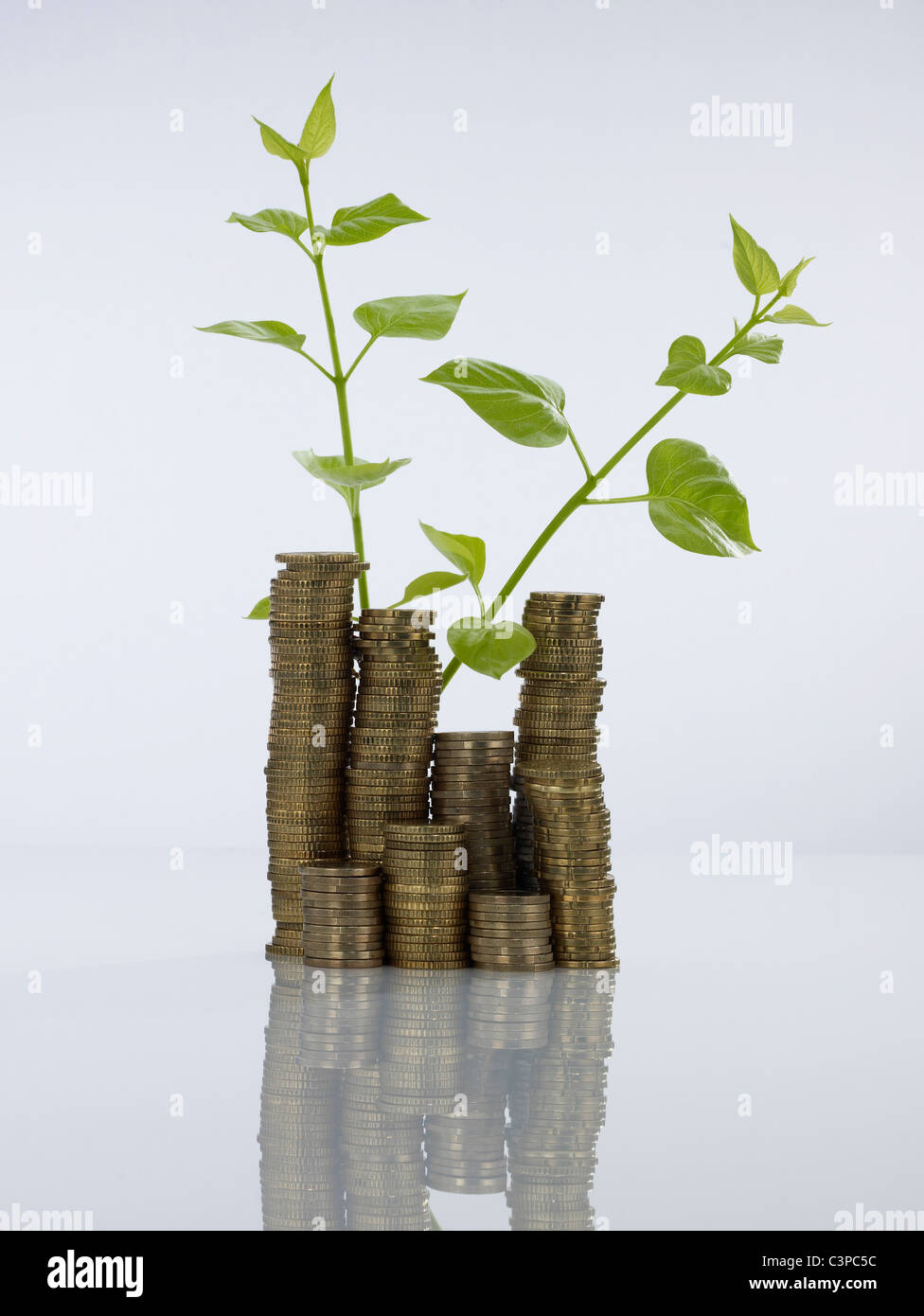 Plant growing through stack of coins Stock Photo - Alamy