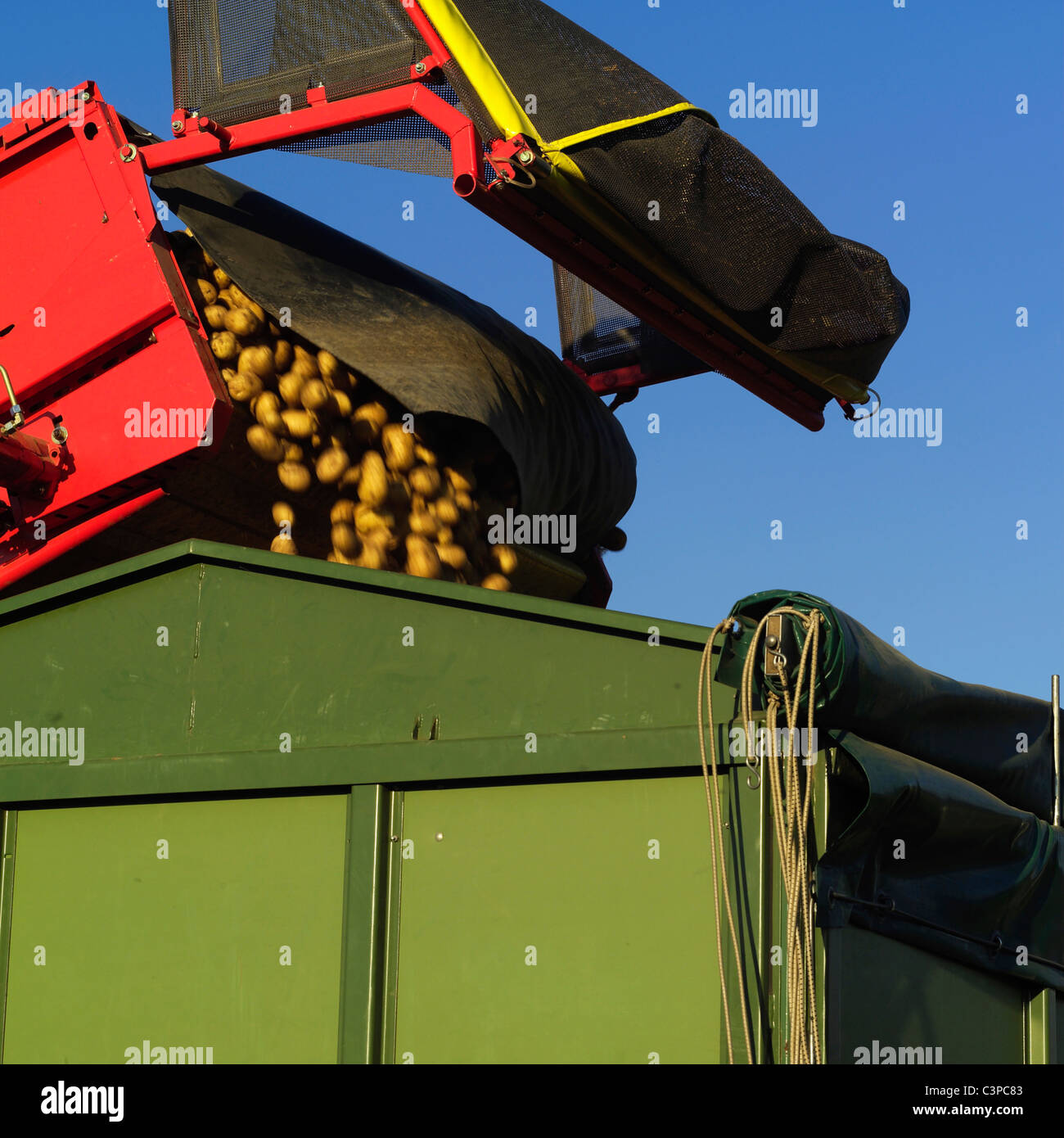 Germany, Hessen, Combine harvester loading potatoes into truck Stock ...