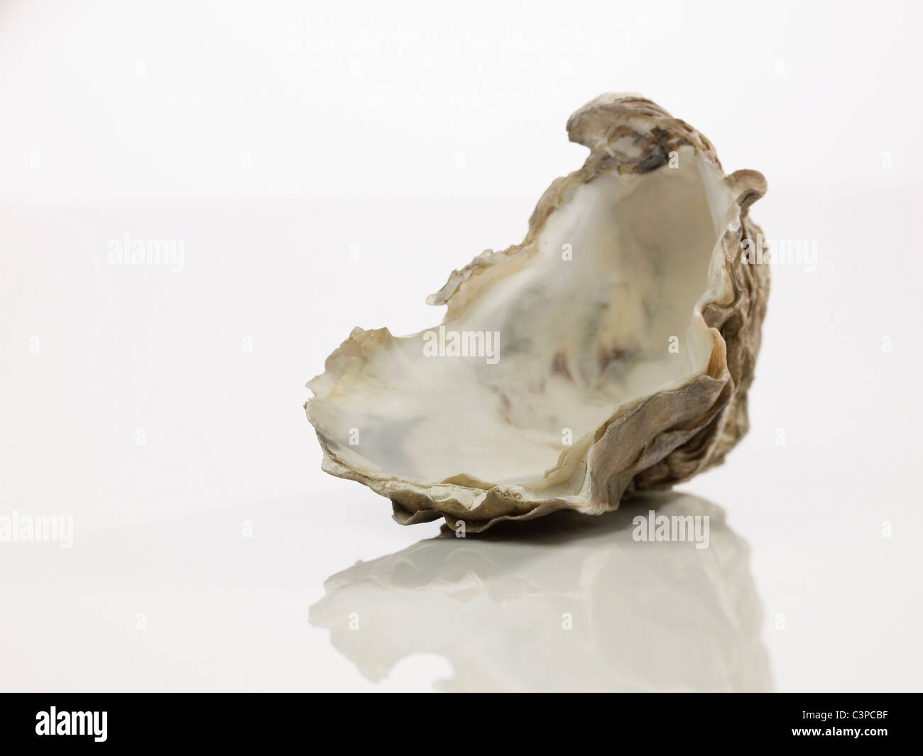 Single oyster in shell hi-res stock photography and images - Alamy