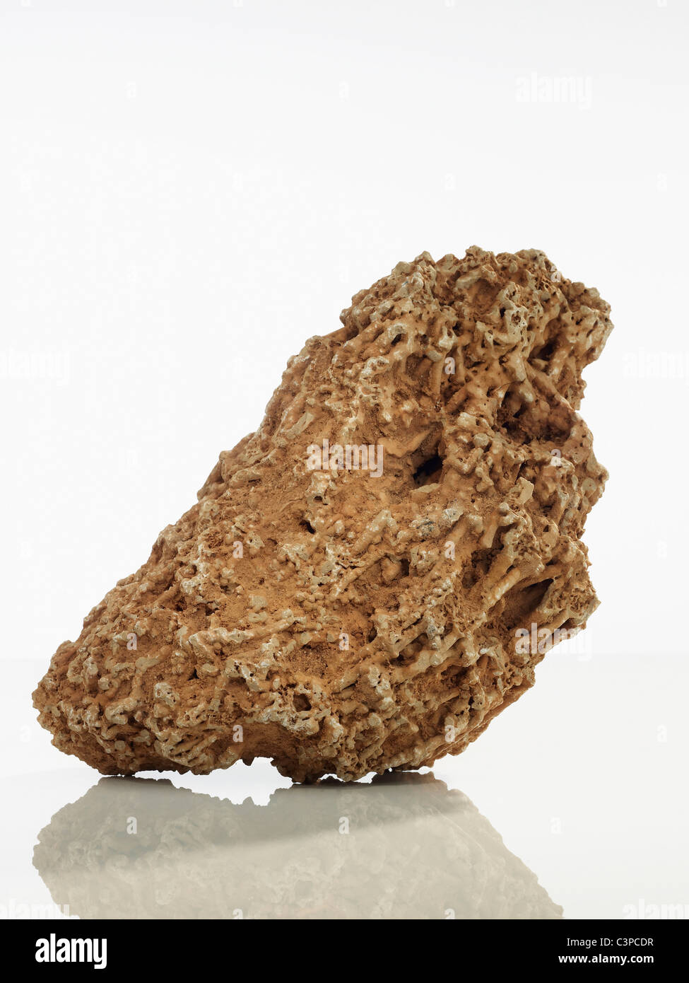 Close up of desert stone on white background Stock Photo - Alamy