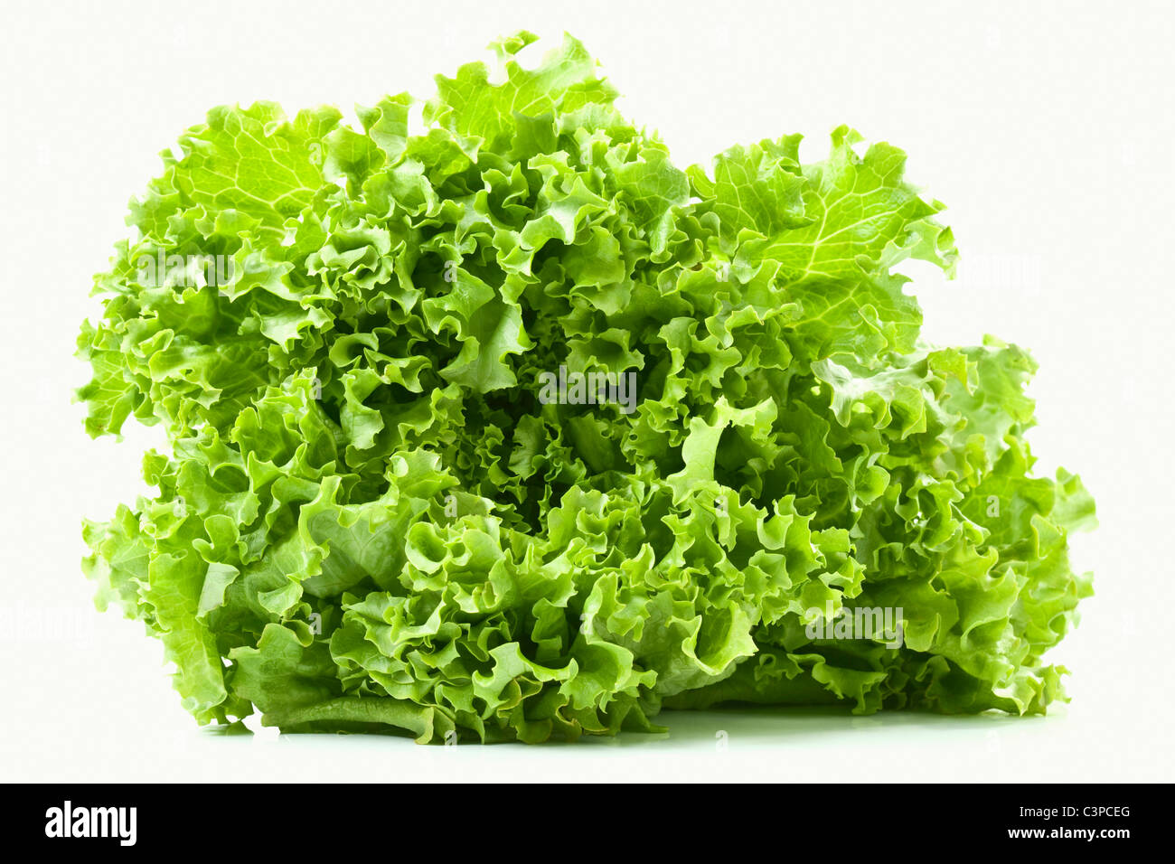 Curled endive hi-res stock photography and images - Alamy