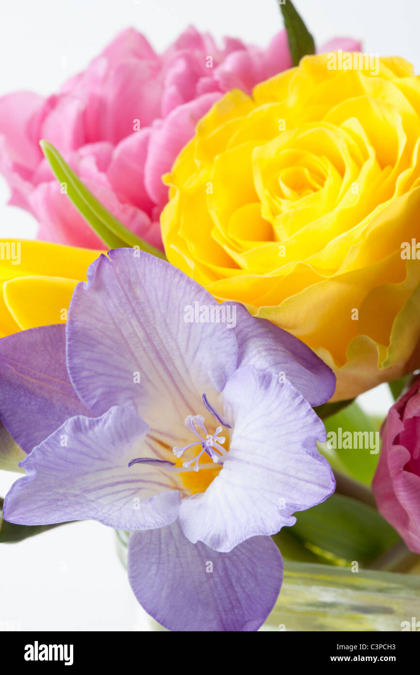 Flower bouquet, close-up Stock Photo - Alamy