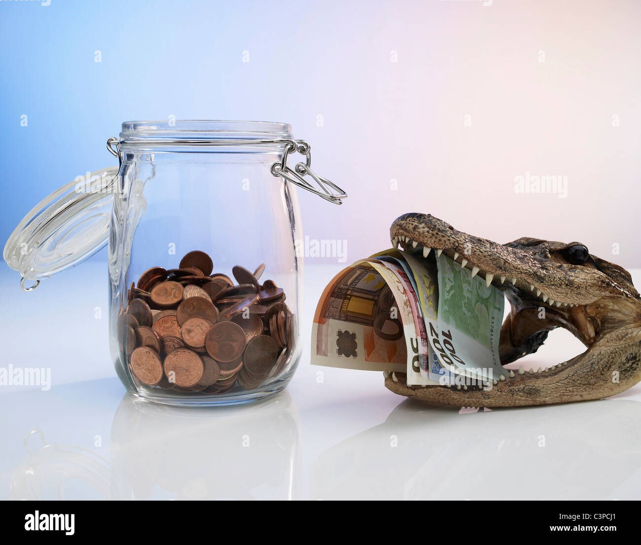Alligator skull hi-res stock photography and images - Alamy