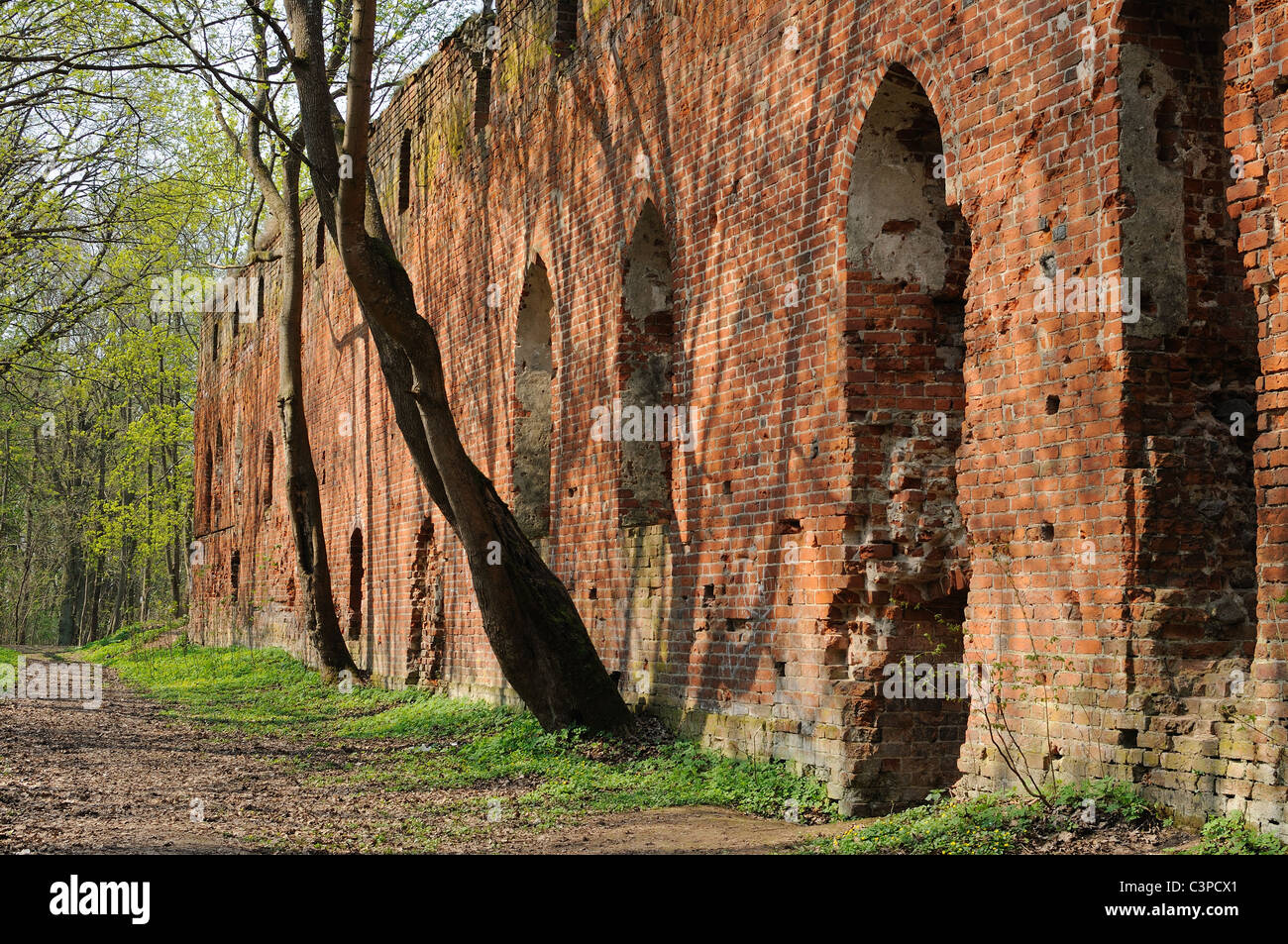 Brick wall of old castle Balga in Prussia, Kaliningrad region, Russia ...
