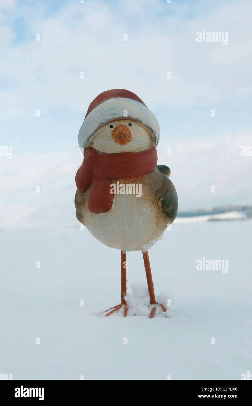 Duck with hat hi-res stock photography and images - Alamy