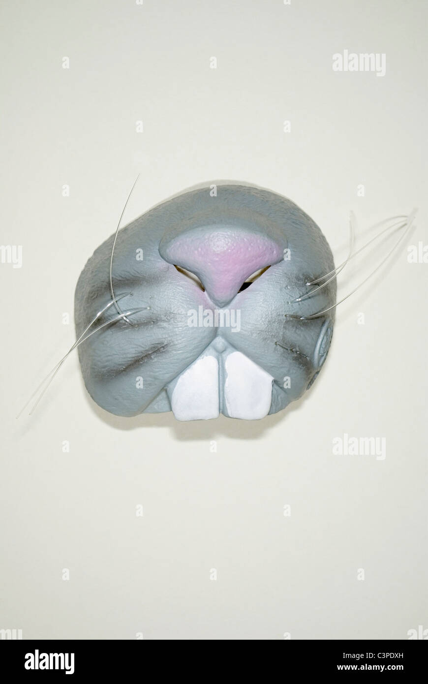 Carnival mask, rabbit nose, elevated view Stock Photo - Alamy