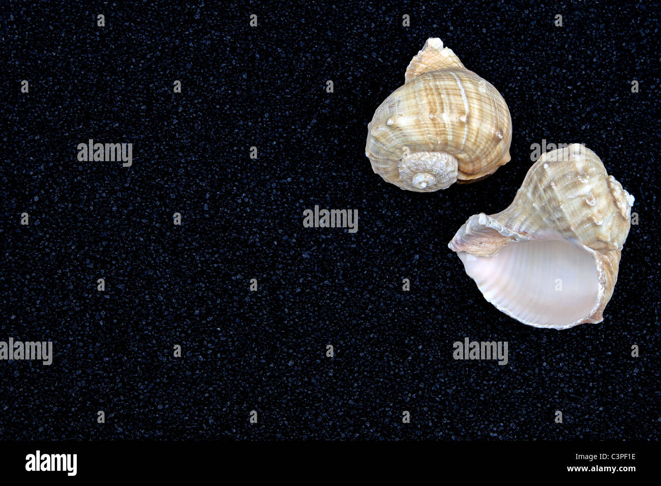 Black sand design hi-res stock photography and images - Alamy